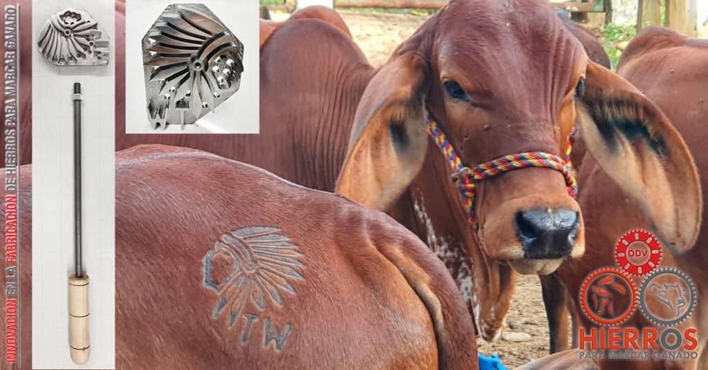 Hierros para Marcar Ganado en Bogotá – Diseño y Fabricación de hierros ...